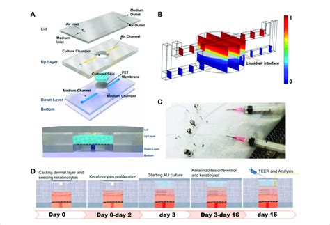 Design And Simulation Of Ic Soc A Exploded View Of The Ic Soc Device Download Scientific