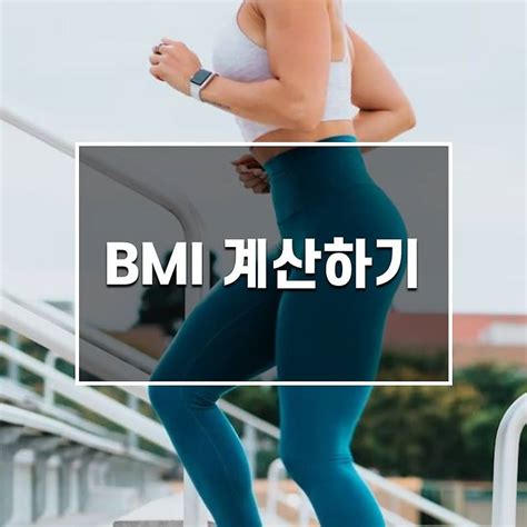 Bmi 계산하기 체질량지수 비만도 계산기