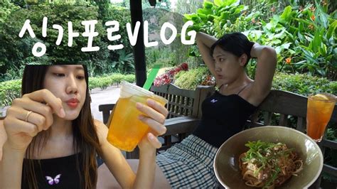 🇸🇬싱가포르 여행 브이로그여자 혼자 싱가포르 여행보타닉가든에서 힐링오차드로드 카페싱가포르에서 기념품 사기 좋은 곳 추천singapore Vlog Youtube