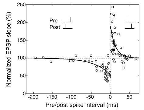 pierre yger spike timing dependent plasticity