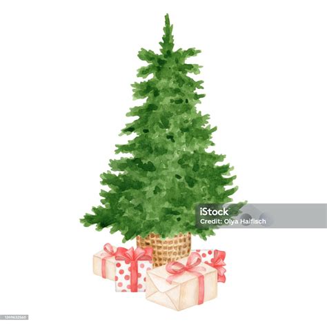 선물 상자 그림과 수채화 크리스마스 트리 고리버들 바구니 스탠드에 손으로 그린 상록 전나무 나무와 흰색 배경에 고립 된 선물의 더미 카드에 대한 빈티지 겨울 그림 0명에
