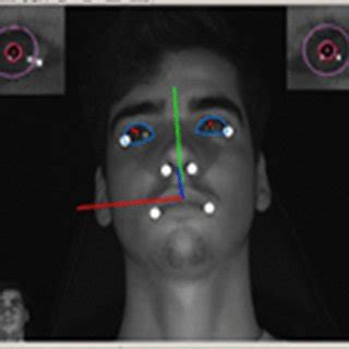 Eye Tracking System And Details Of Infrared Cameras Download Scientific Diagram