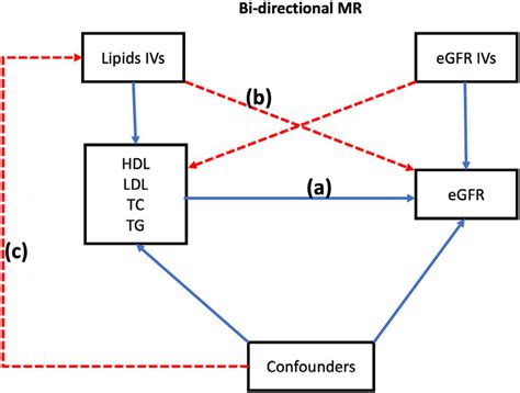 A Schematic Representation Of Bi Directional Mr Analyses A Forward