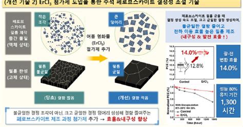 유독성 `납` 빼고 `주석` 기반 차세대 태양전지…효율·안정성 향상