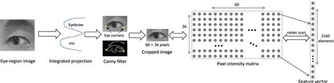 Eye Appearance Feature Vector Generation Download Scientific Diagram
