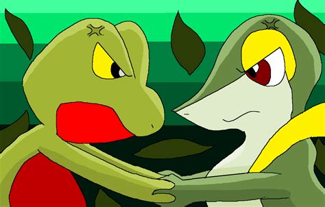 Treecko Vs Snivy By Coolnala On Deviantart