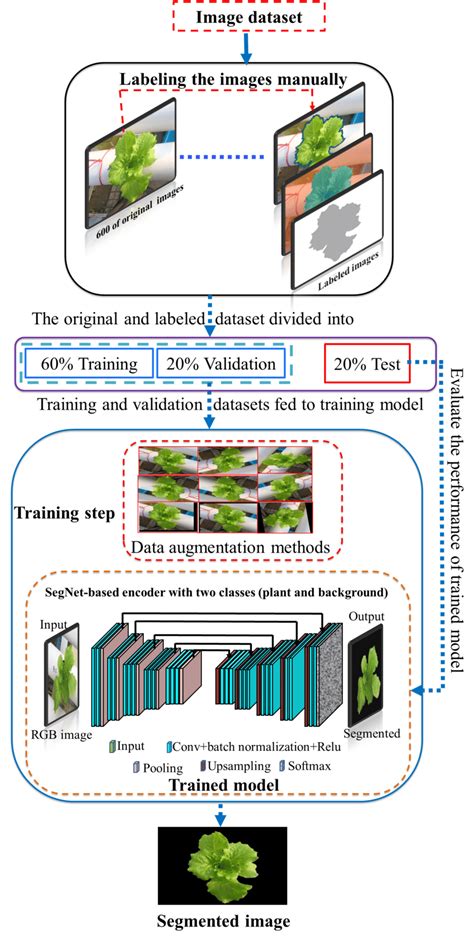 Flowchart Of Segmentation Process Using SegNet Download Scientific Diagram