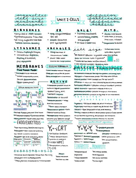 AP Biology Unit 2 Review Notes Etsy