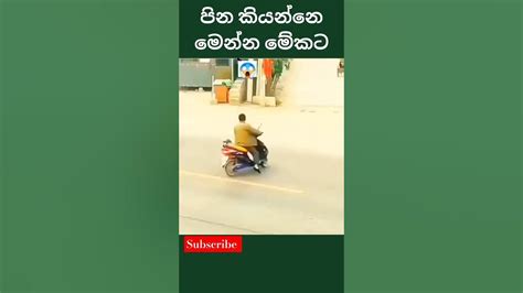 පින කියන්නෙ මොකක්ද ඇහුවොත් මෙන්න මේක පෙන්නහන් Video Viralvideo Trending Youtube