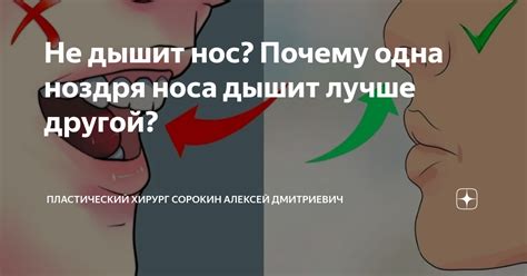 Не дышит нос? Почему одна ноздря носа дышит лучше другой ...