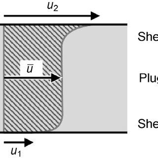 Scheme Of Plug Flow Download Scientific Diagram