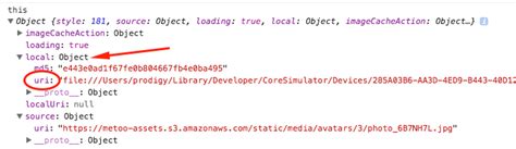 filesystem downloadasync appearing to download image but the root