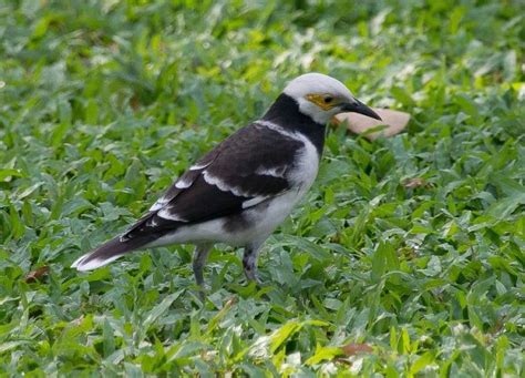 angr ctf笔记 janlittle s blog