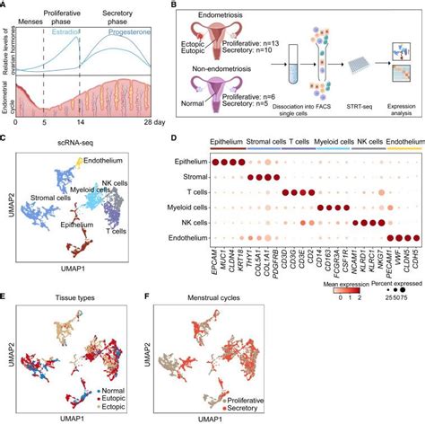 【cell子刊】北京大学汤富酬、昌晓红联合发文：单细胞技术应用新进展 《转》译 转化医学网 转化医学核心门户