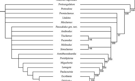 A Strict Consensus Tree And A Majority Rule Consensus Tree Of The 19 Download Scientific