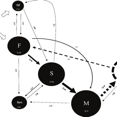 Kinematic Diagram Of The Interactions Between Females And Males Of Download Scientific Diagram