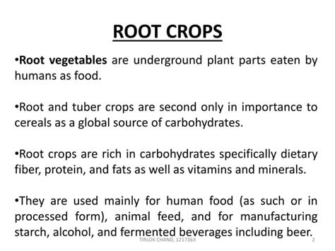 ROOT CROPS PPTX Agriculture Industries