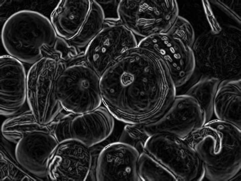 Compute Gradient Magnitude Recursive Gaussian Of Grayscale Image — V5 0 0