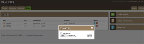 Sickos11dirsearch设置代理 Csdn博客