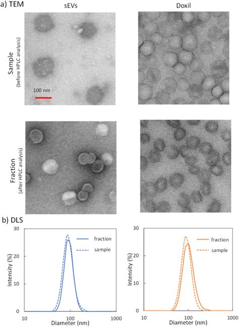 Separation Of 100 Nm Sized Nanoparticles Using A Poly Lys Modified Monolith Column Pmc