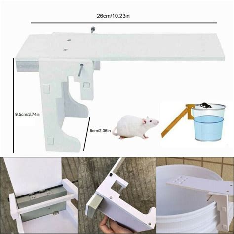 New Mouse Trap Catch Rat Trap Auto Catch Walk The Plank Humane Bucket Mice Reset | eBay