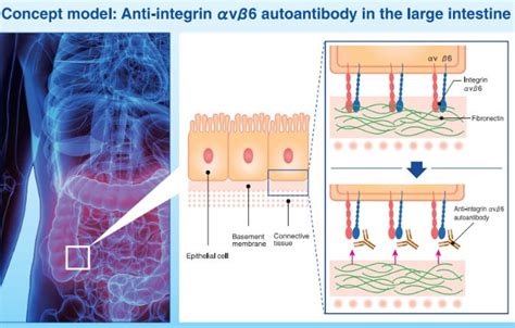 Mbl台灣代理商 森淼大自然科技有限公司