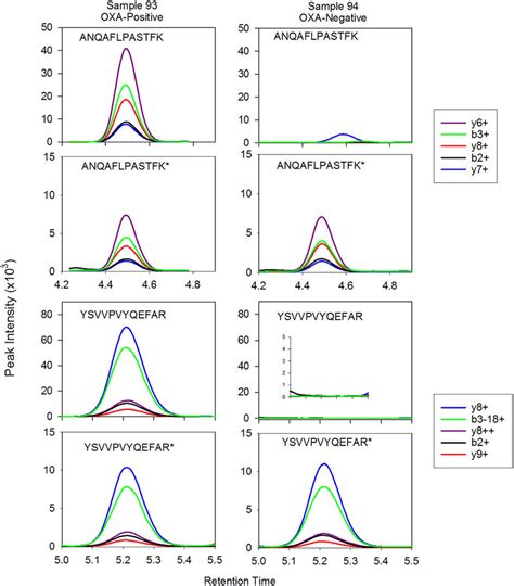 LC MS MS Chromatogram Of Positive And Negative Samples LC MS MS Download Scientific Diagram