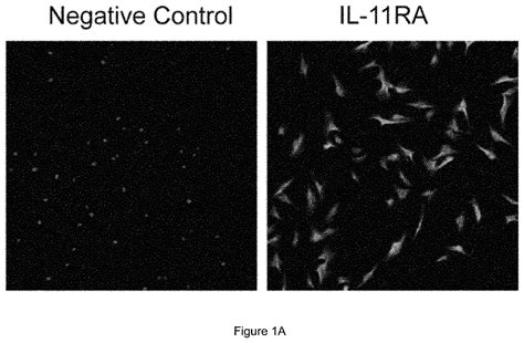 Treatment Of Hepatotoxicity Eureka Patsnap