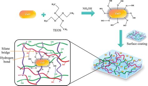 Illustration Of The Synthesis Of SiO2coated ZnO Particles And The Download Scientific Diagram