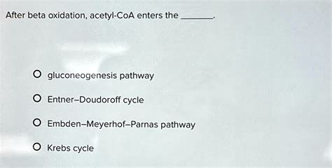 After Beta Oxidation Acetyl Coa Enters The O Gluconeogenesis Pathway