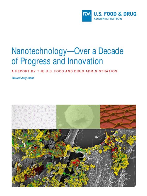 Nanotechnology Over A Decade Us Fda Report 2020 July Pdf Food And Drug Administration