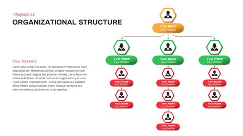Free Organizational Chart for PowerPoint & Google Slides