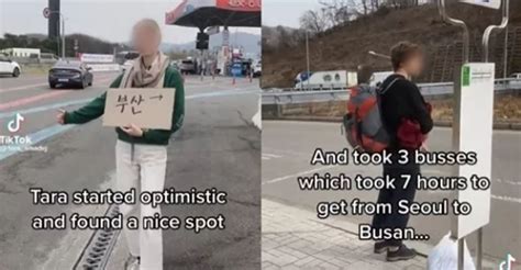 히치하이킹 실패하고 한국 인종 차별 심하다며 비판한 외국인 커플의 결말 오펀 디스커스