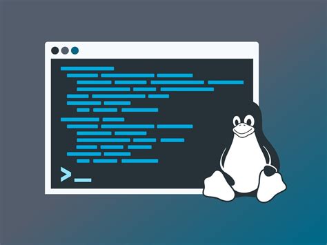 Best Linux Terminal Text Editors Perfect For Beginners
