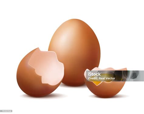 3d 현실적인 벡터 아이콘 그림입니다 통 유기농 닭고기 달걀과 달걀 노른자가 들어간 깨진 달걀 2개 반쪽 흰색 배경에 고립되어 있습니다 가금류에 대한 스톡 벡터 아트 및
