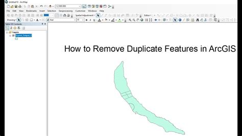 How To Remove Duplicate Feature In Arcgis Youtube