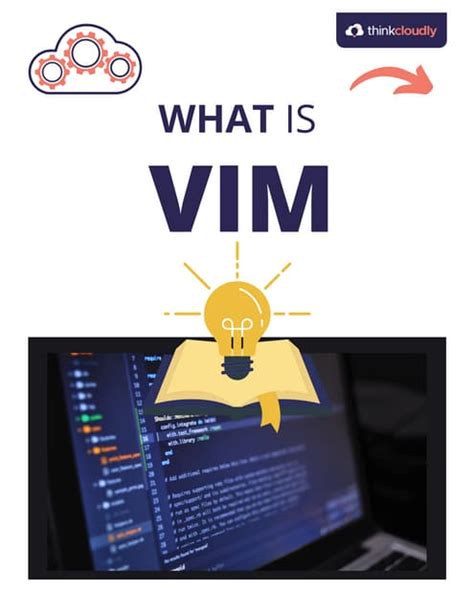 What Is Vim Pdf