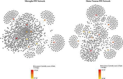 The Microglia And Motor Neuronspecific Ppi Networks Demonstrated