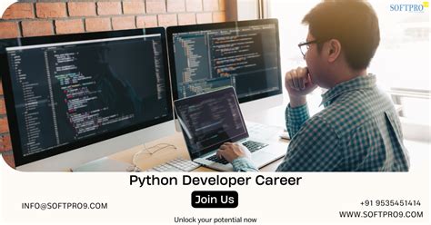 what does a python developer do skills tasks and career insights