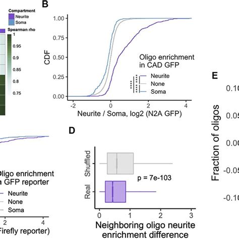overview and qc of mpra results a hierarchical clustering of