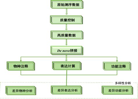 宏转录组学测序分析 生物测试 测试狗科研服务