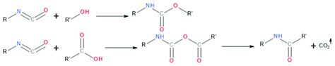 Possible Reactions Of Isocyanates With Functional Groups Present On The