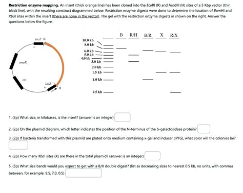 [solved] Restriction Enzyme Mapping An Insert Thick Oran