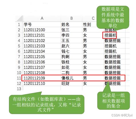 【操作系统】文件管理（一）—— 文件管理的概述操作系统之文件的管理（一） Csdn博客