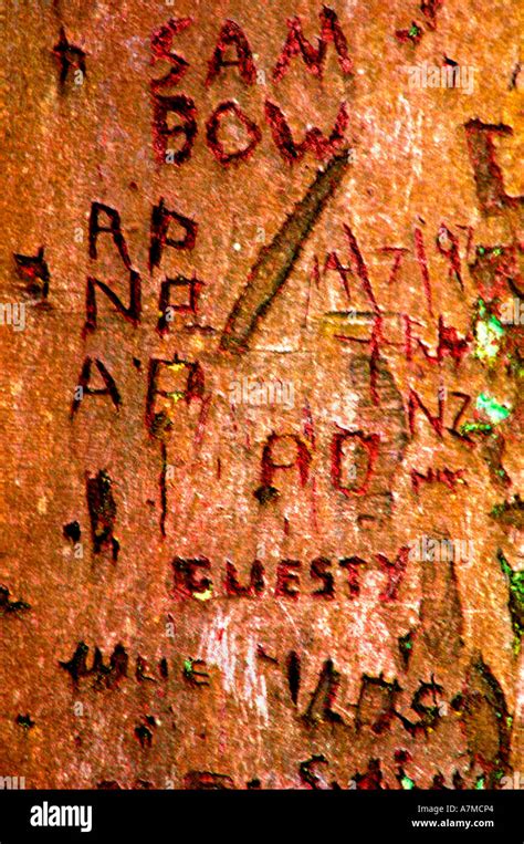 Initials Carved Into A Tree Stock Photo Alamy
