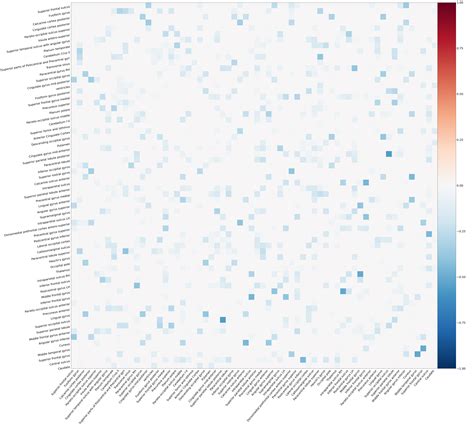 Extracting Functional Connectivity Hcphs Sops