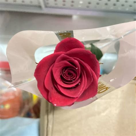 Rosie Bami Hong • Threads Say More