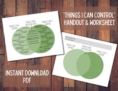 Circle Of Control Handout And Worksheet Mental Health Therapy