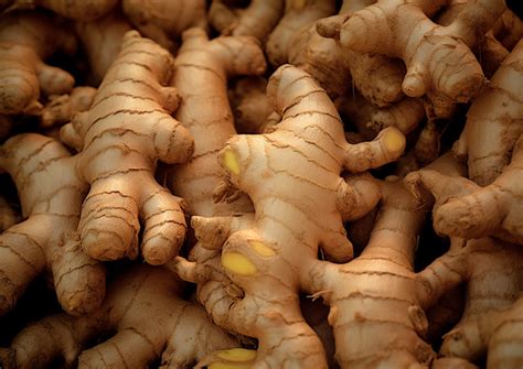 6 041 Foto Jahe Gambar Dan Background Untuk Unduh Gratis Pngtree