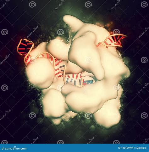 Crispr Cas9 Gene Editing Complex From Streptococcus Pyogenes The Cas9